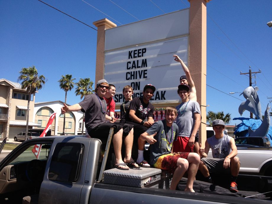 Chive Everywhere (86 Photos)