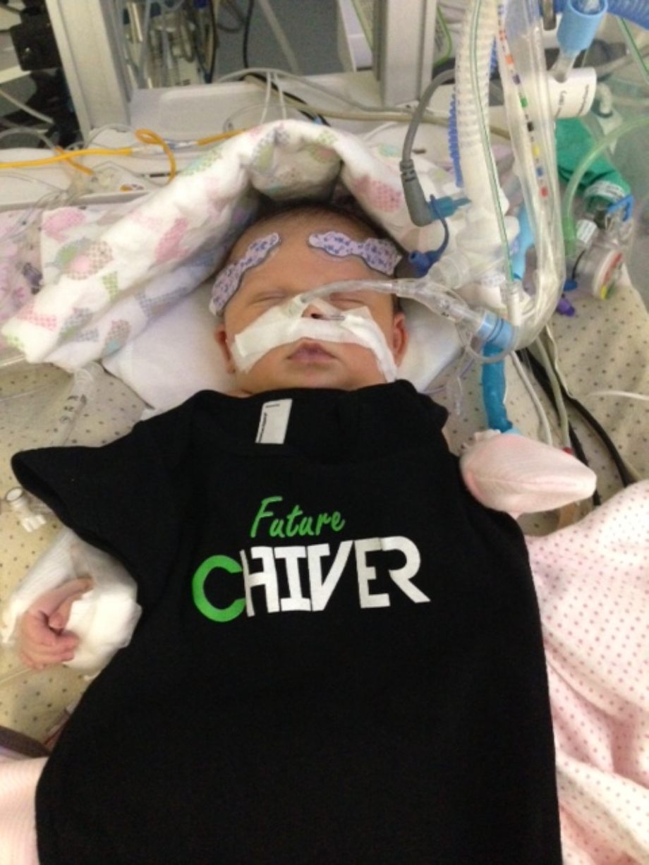 Chive Everywhere (79 HQ Photos)