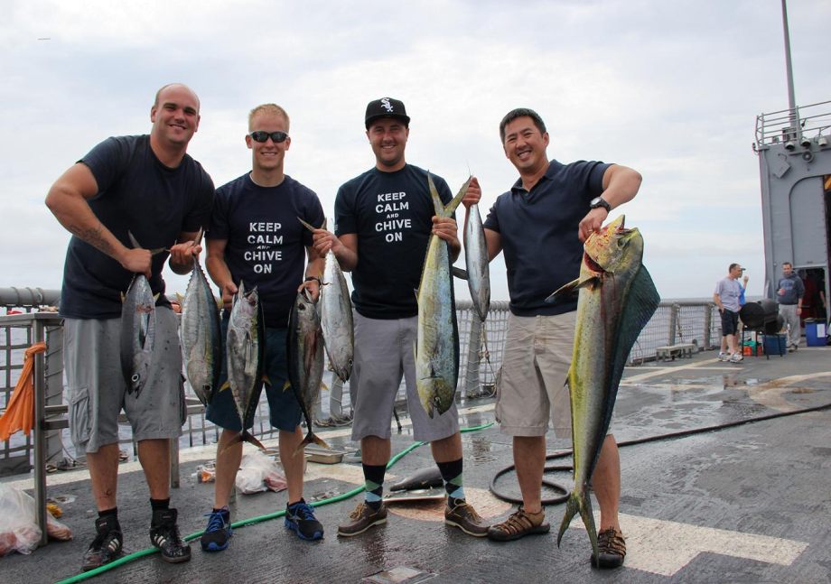 Chive Everywhere (79 HQ Photos)