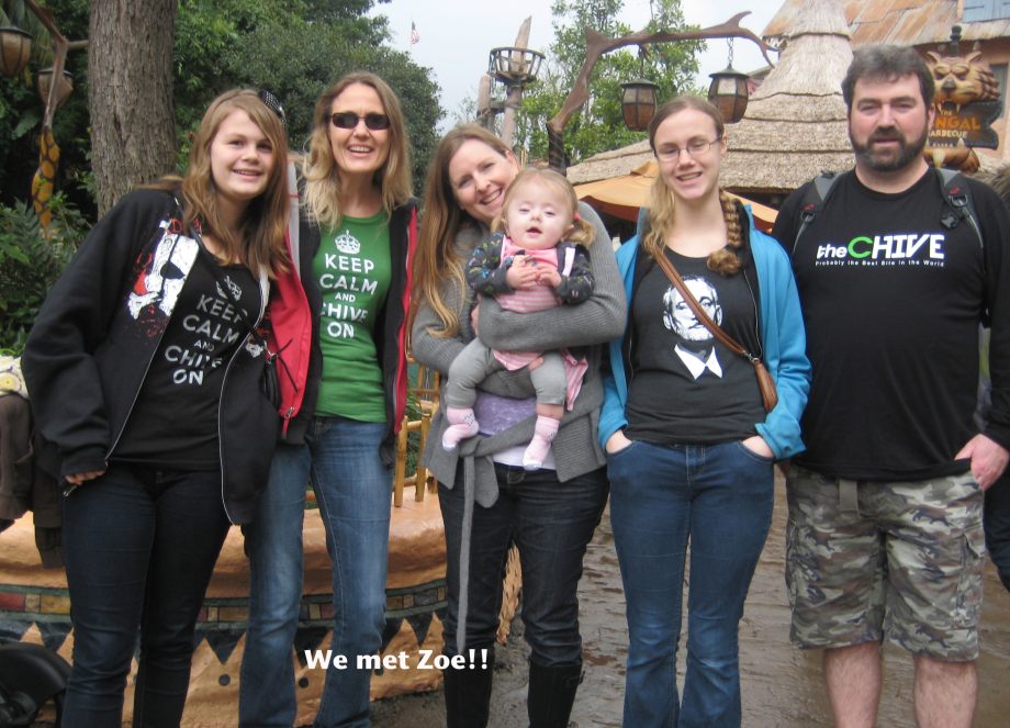 Chive Everywhere (67 Photos)