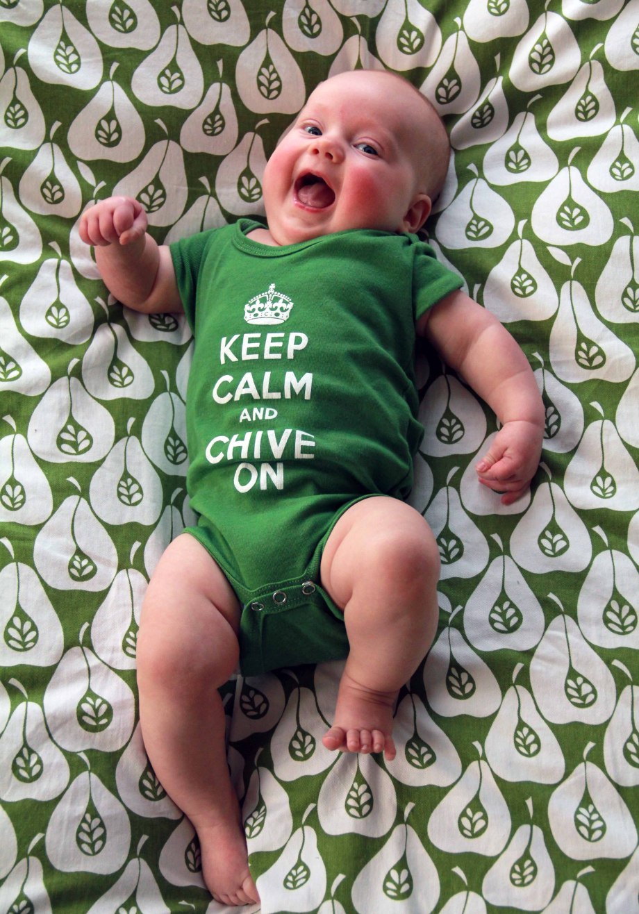 Chive Everywhere (69 HQ Photos)