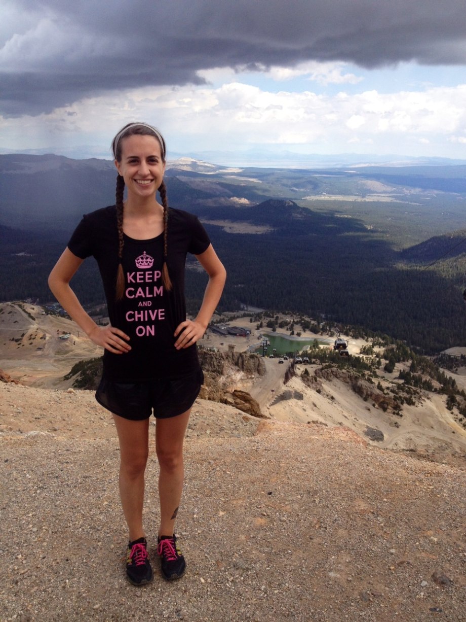 Chive Everywhere (69 HQ Photos)