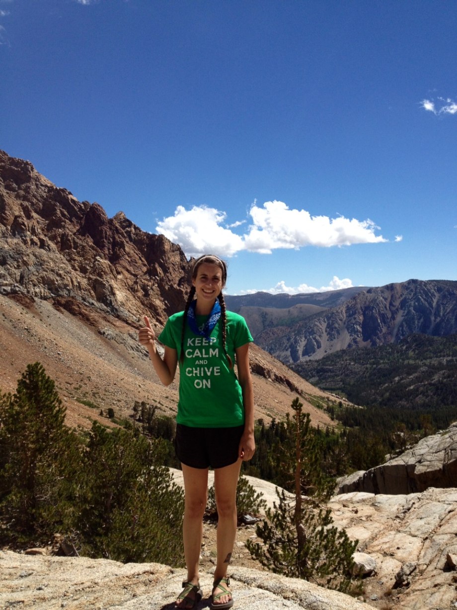 Chive Everywhere (69 HQ Photos)