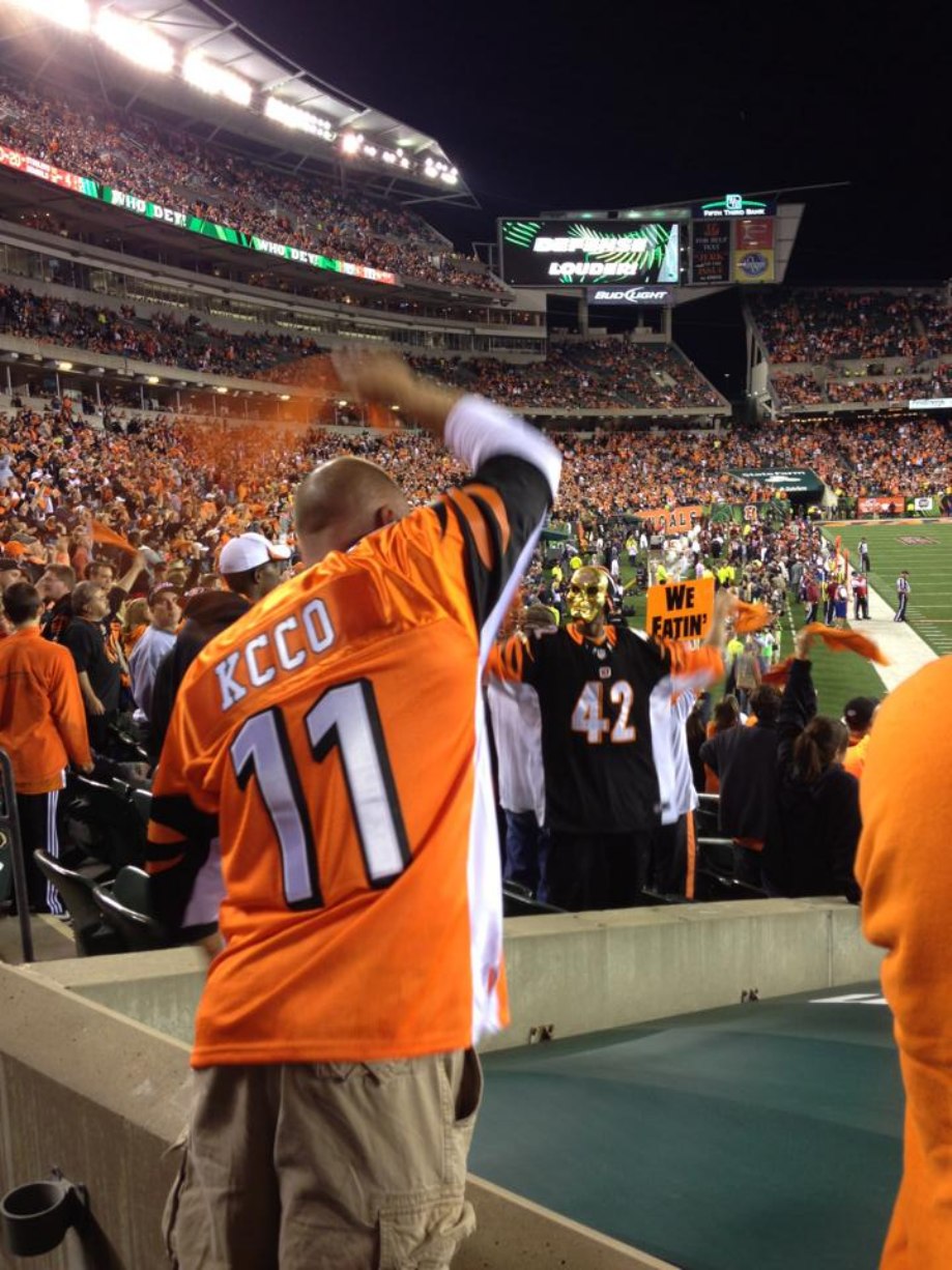 Chive Everywhere (69 HQ Photos)