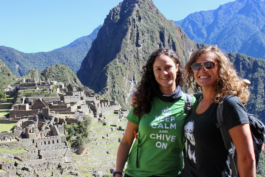 Chive Everywhere (69 HQ Photos)