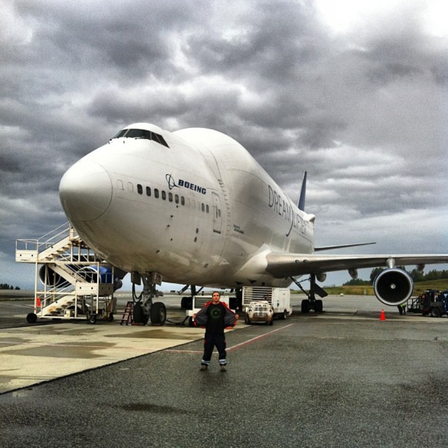 Chive Everywhere (69 HQ Photos)