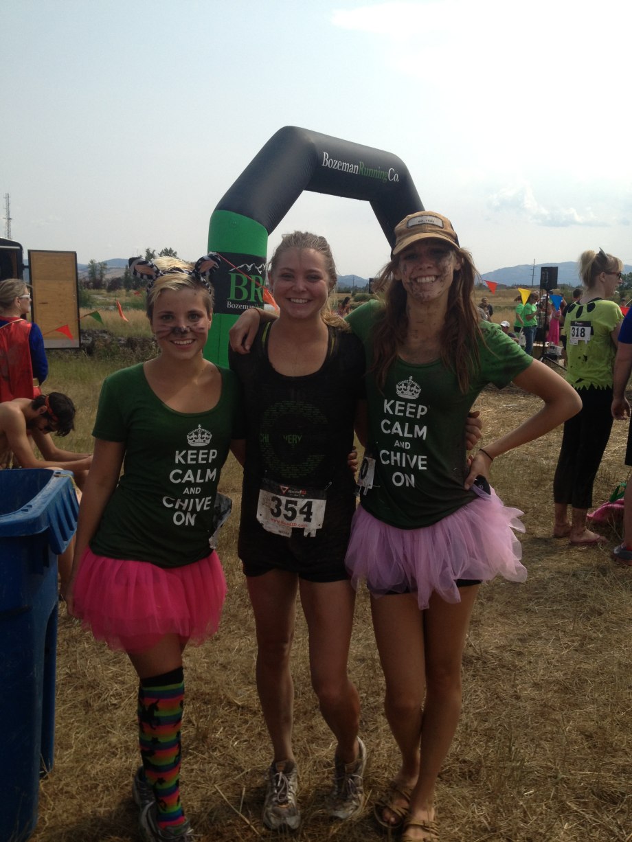 Chive Everywhere (69 HQ Photos)