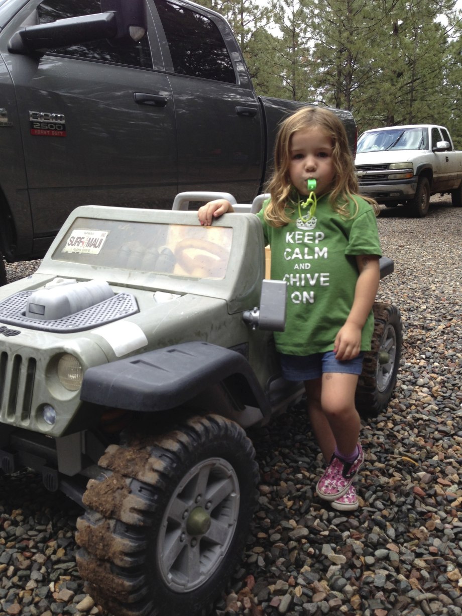 Chive Everywhere (69 HQ Photos)