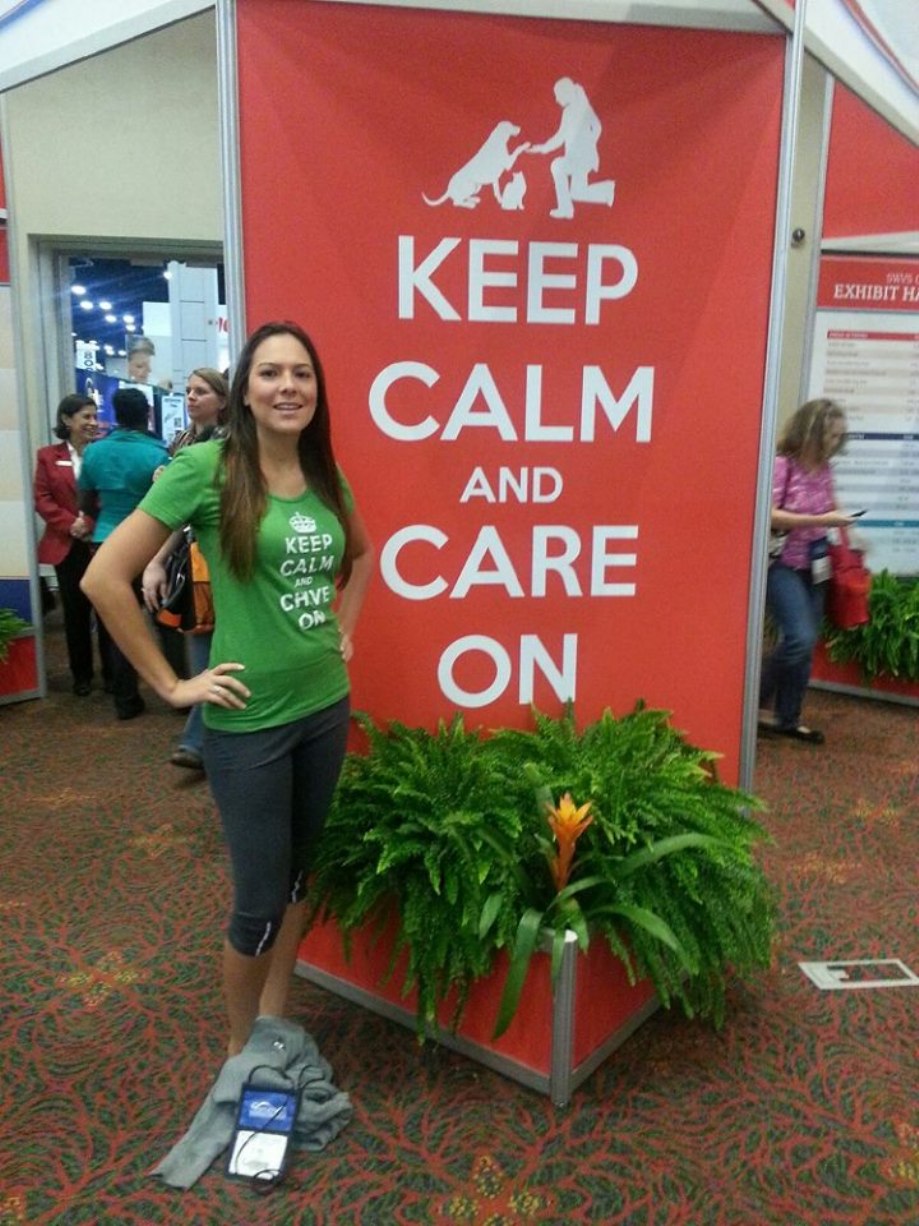 Chive Everywhere (69 HQ Photos)