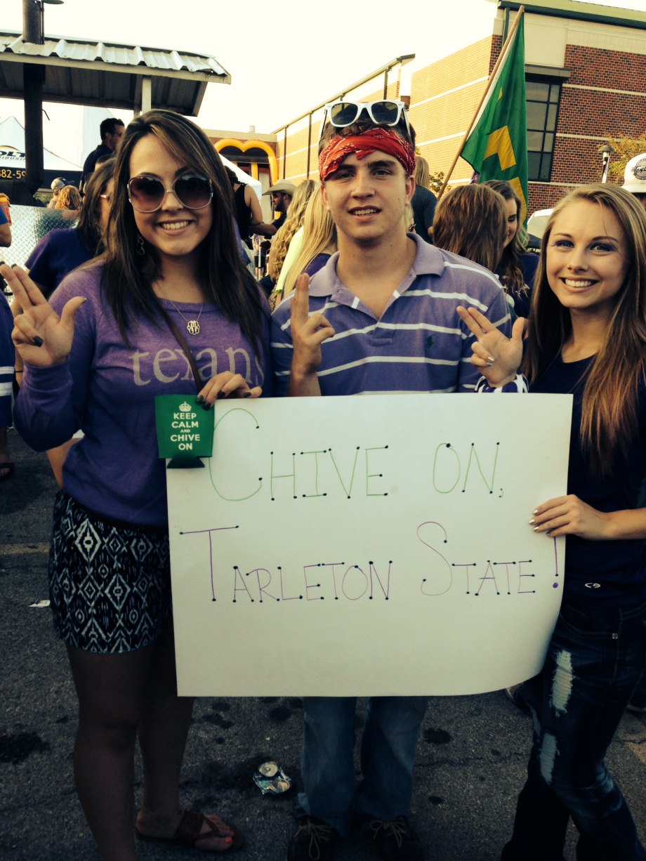 Chive Everywhere (69 HQ Photos)