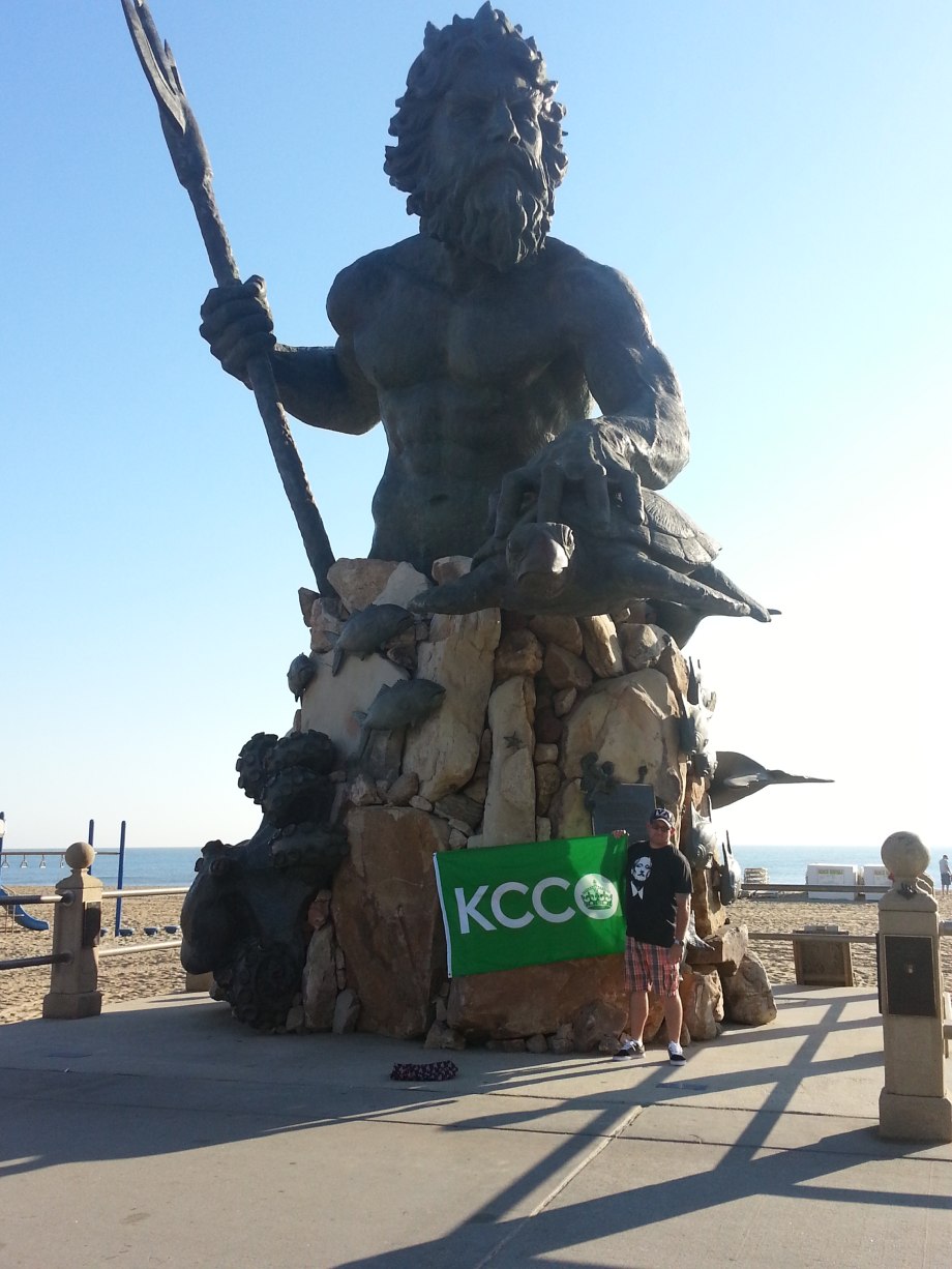 Chive Everywhere (69 HQ Photos)