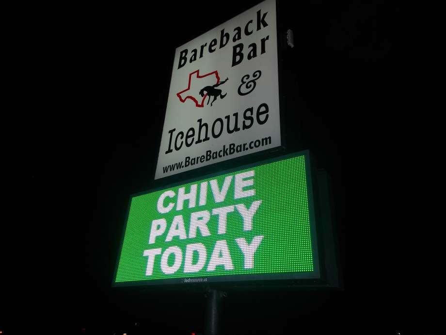 Chivers are throwing unofficial meetups everywhere (66 HQ Photos)