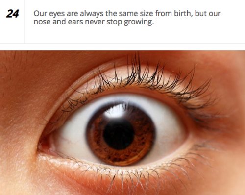 25 Random useless facts you can use to impress your friends