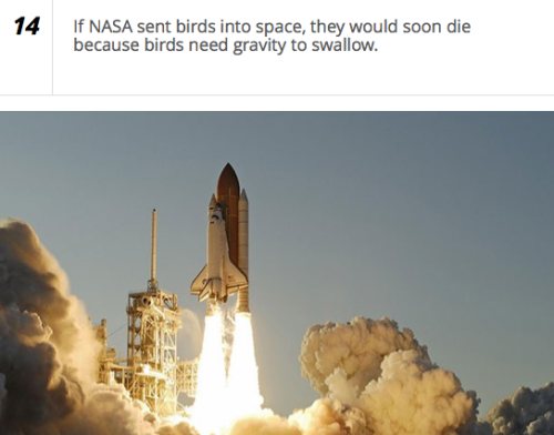 25 Random useless facts you can use to impress your friends