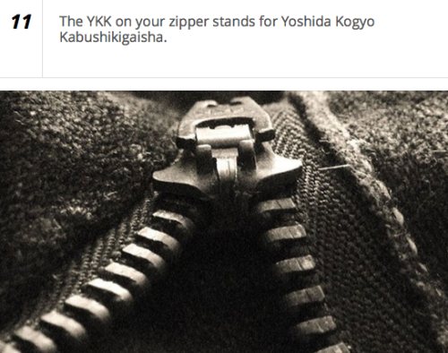 25 Random useless facts you can use to impress your friends