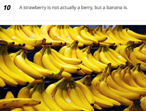 25 Random useless facts you can use to impress your friends