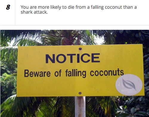 25 Random useless facts you can use to impress your friends