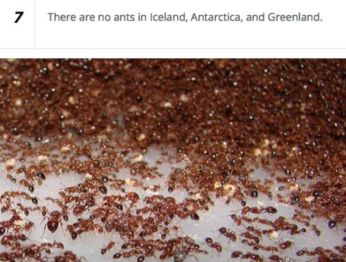 25 Random useless facts you can use to impress your friends