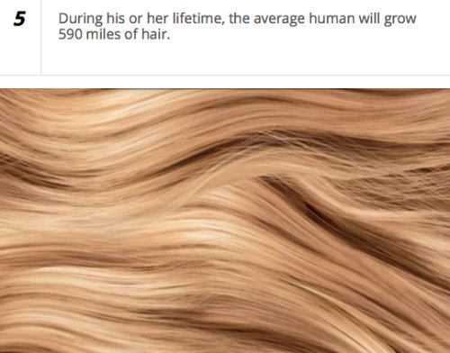 25 Random useless facts you can use to impress your friends