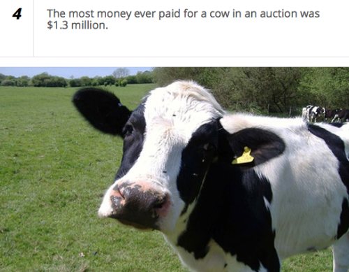 25 Random useless facts you can use to impress your friends