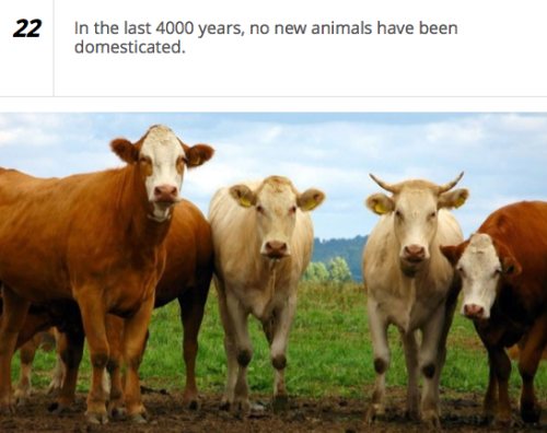 25 Random useless facts you can use to impress your friends