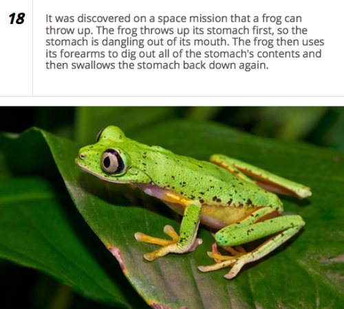 25 Random useless facts you can use to impress your friends