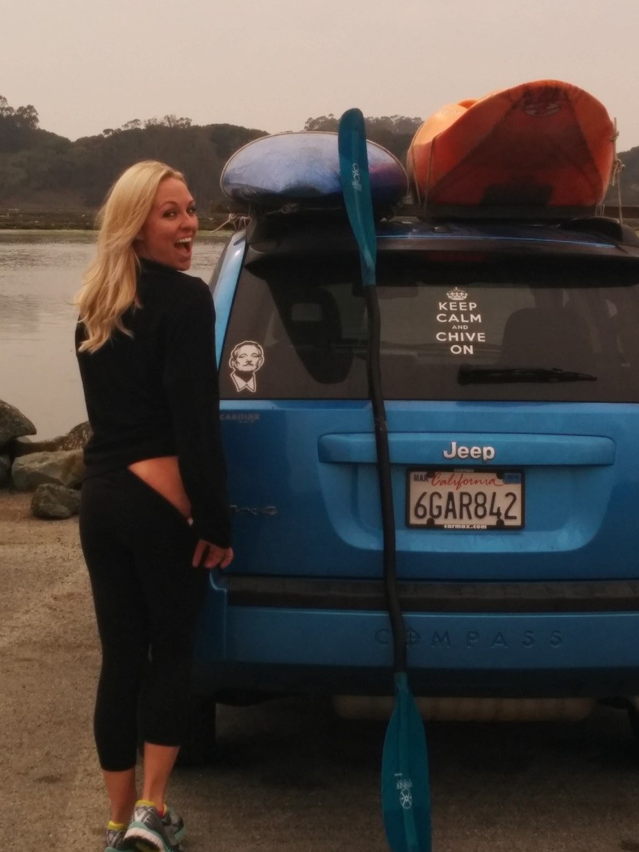 Chive Everywhere (71 HQ Photos)