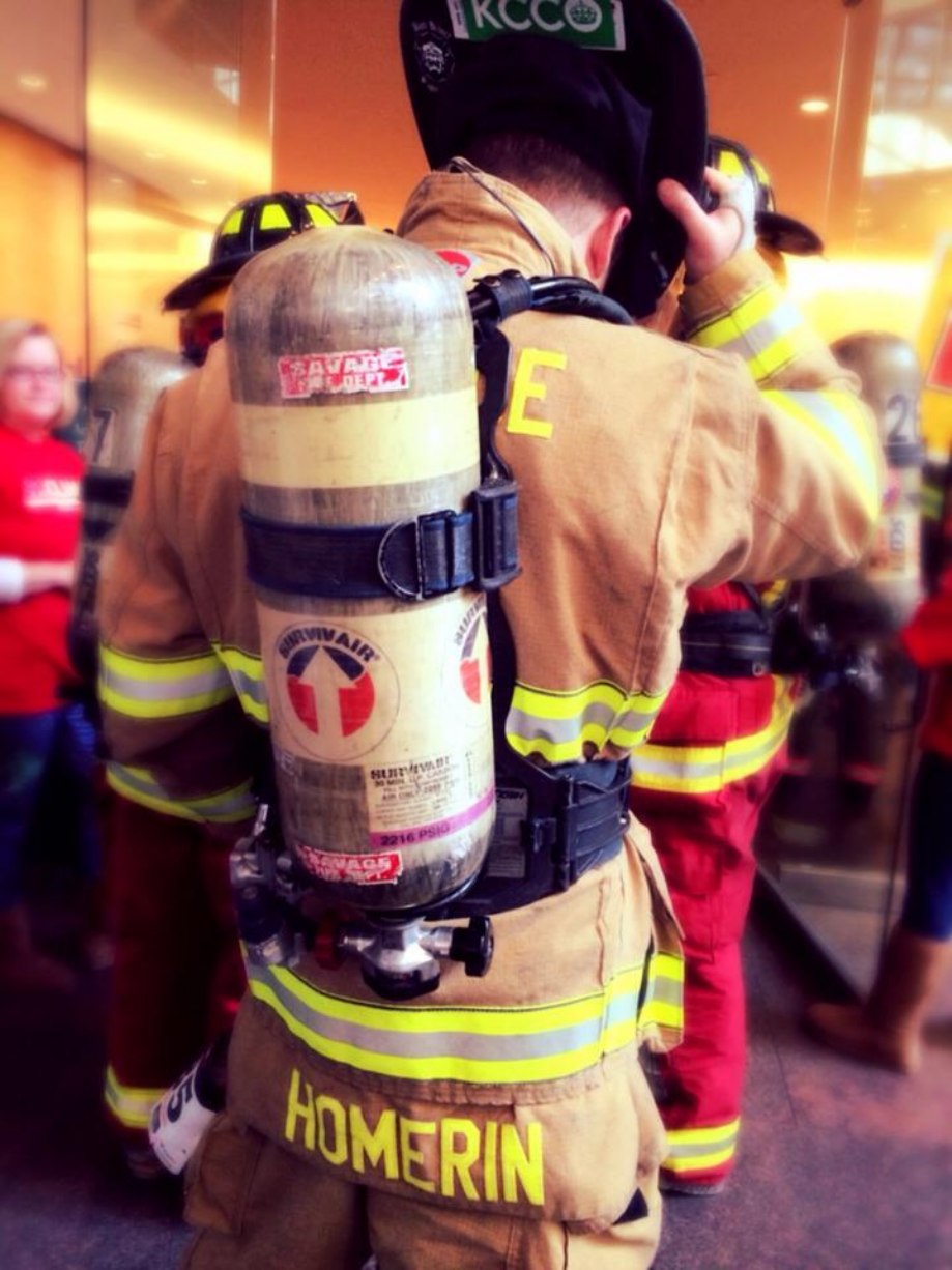 Chive Everywhere (71 HQ Photos)