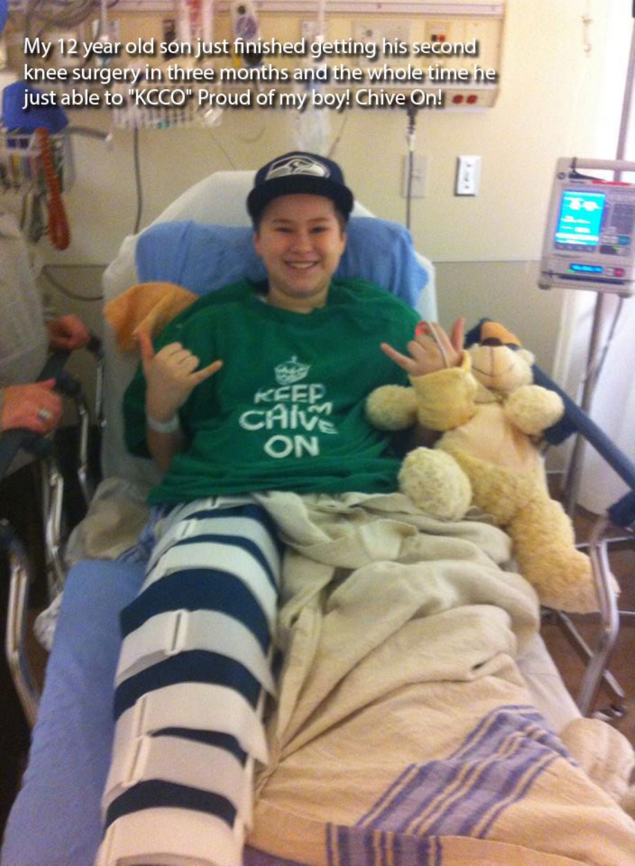 Chive Everywhere (71 HQ Photos)