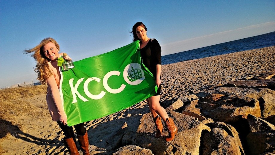 Chive Everywhere (71 HQ Photos)