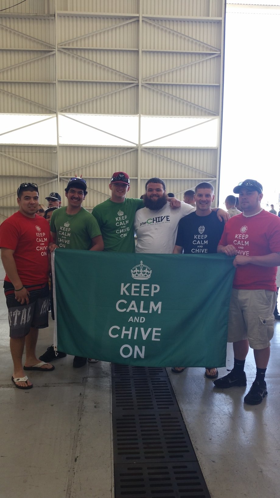 Chive Everywhere (55 HQ Photos)