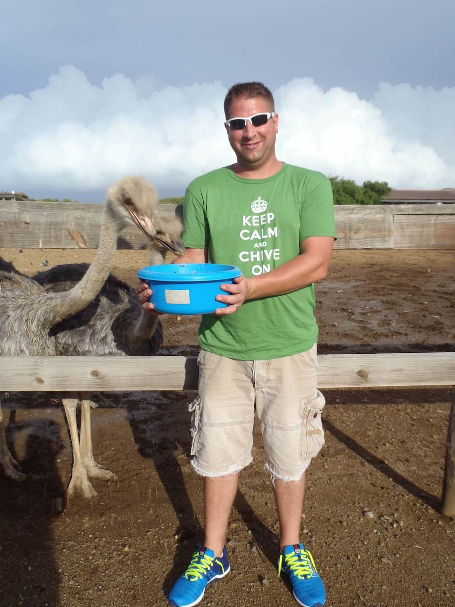 Chive Everywhere (70 HQ Photos)