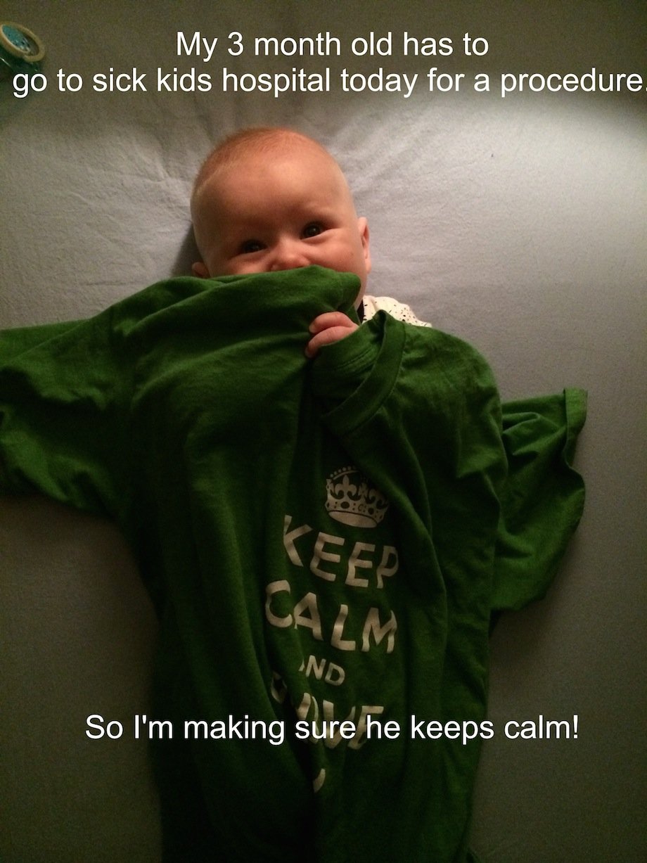 Chive Everywhere (55 HQ Photos)