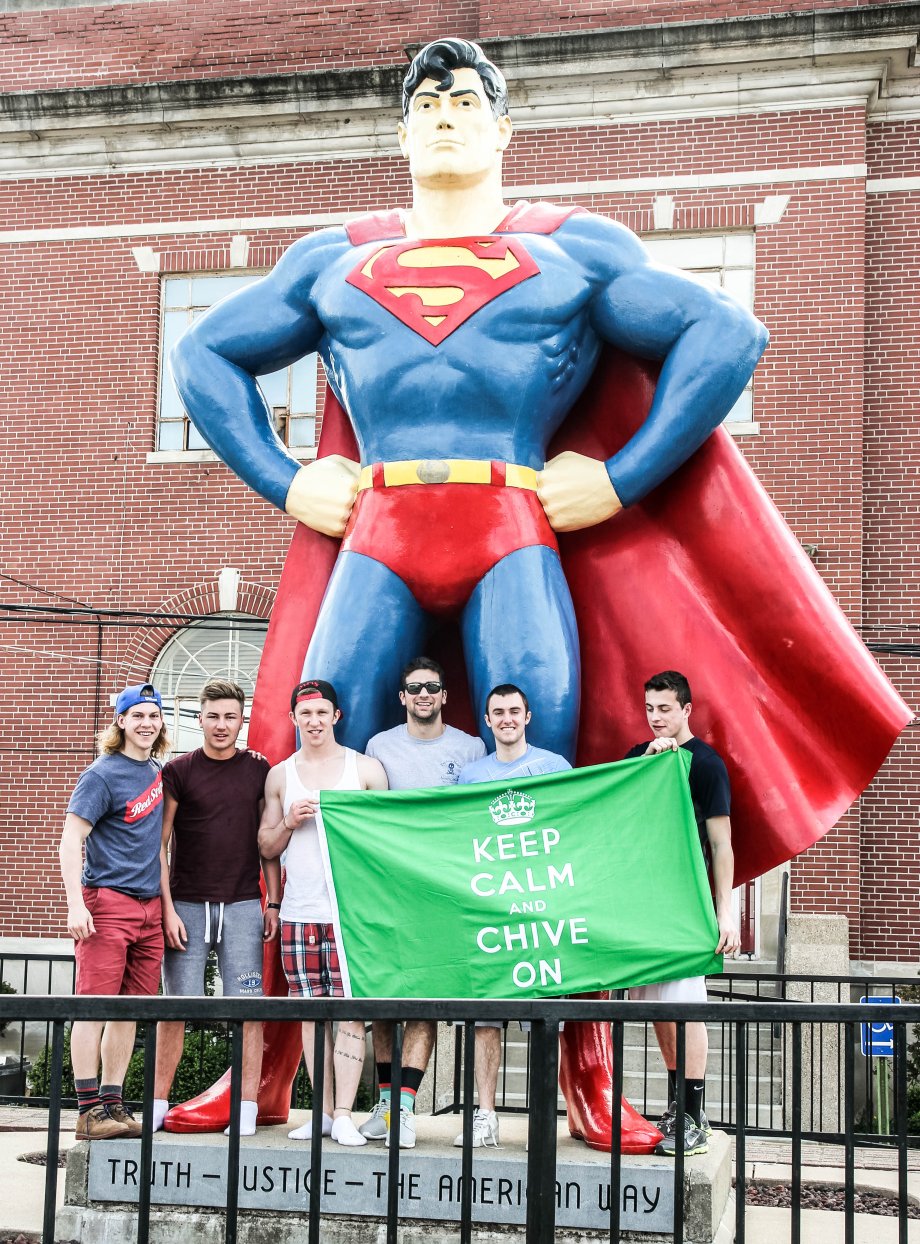 Chive Everywhere (55 HQ Photos)