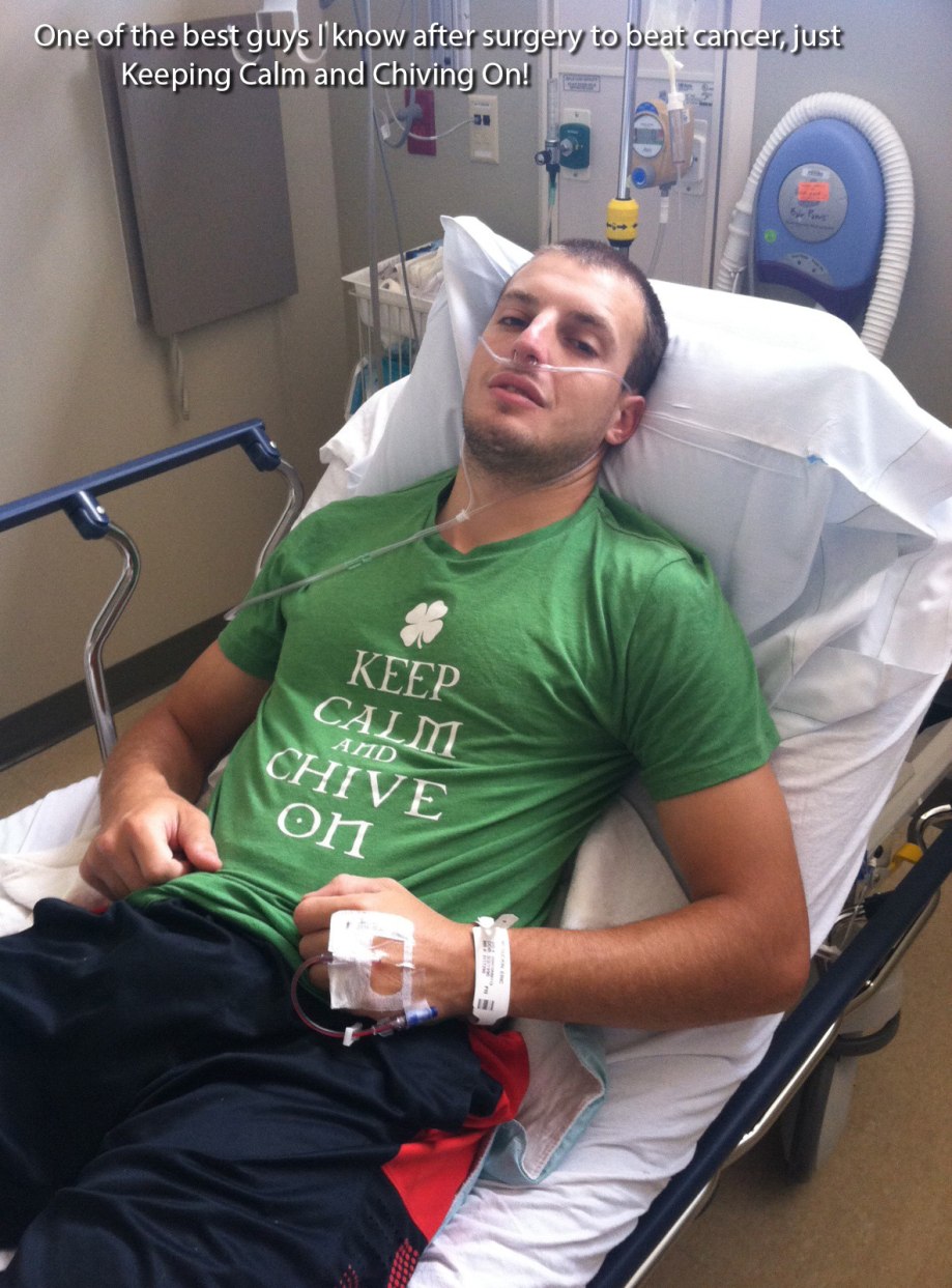 Chive Everywhere (60 HQ Photos)