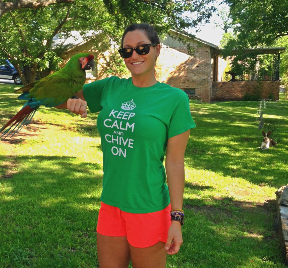 Chive Everywhere (60 HQ Photos)