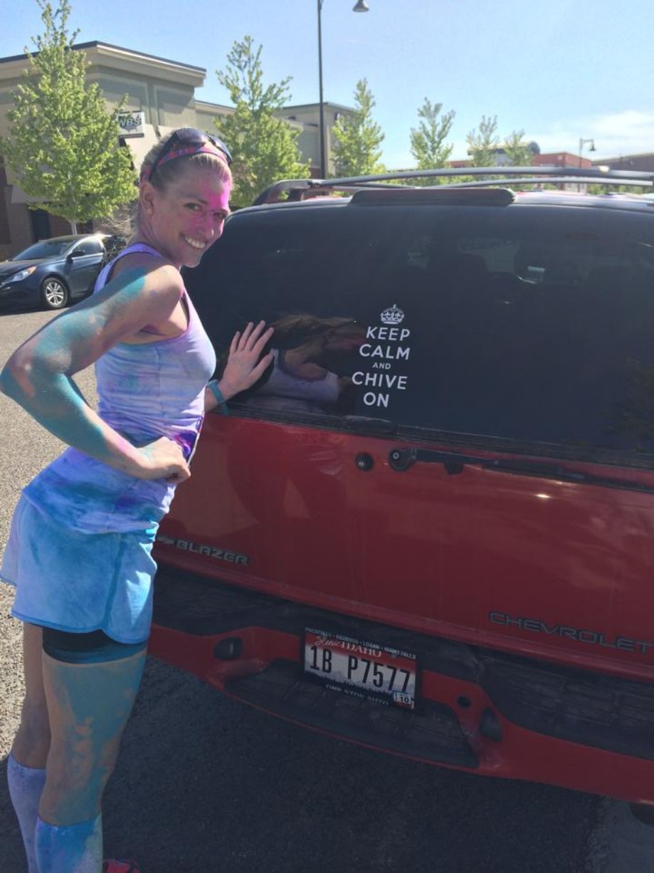 Chive Everywhere (60 HQ Photos)