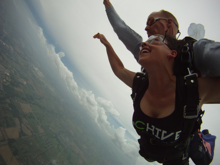 Chive Everywhere (69 HQ Photos)