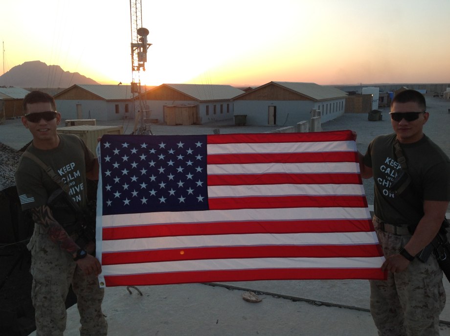 Chive Everywhere (69 HQ Photos)