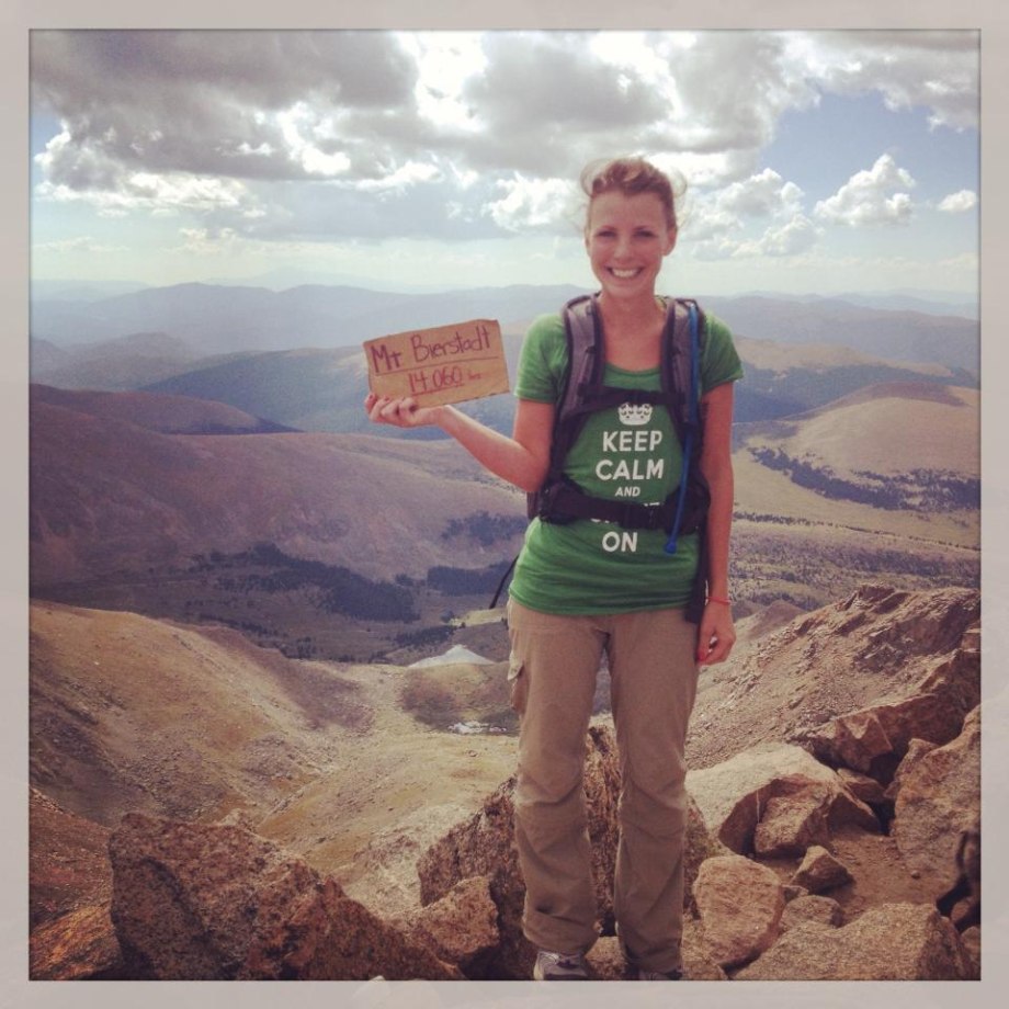 Chive Everywhere (69 HQ Photos)