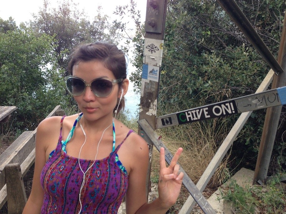 Chive Everywhere (67 HQ Photos)