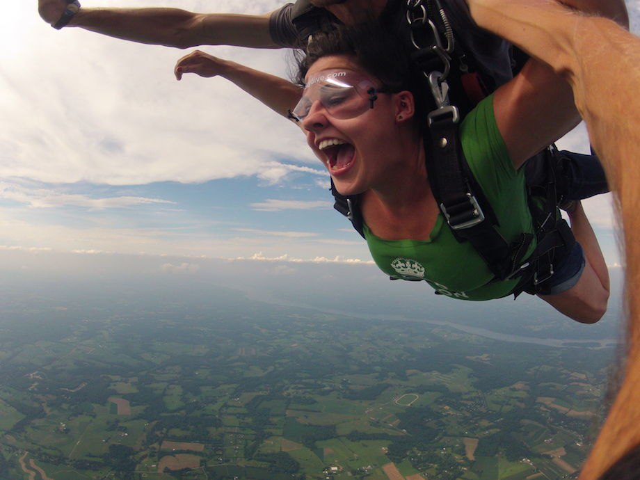 Chive Everywhere (67 HQ Photos)