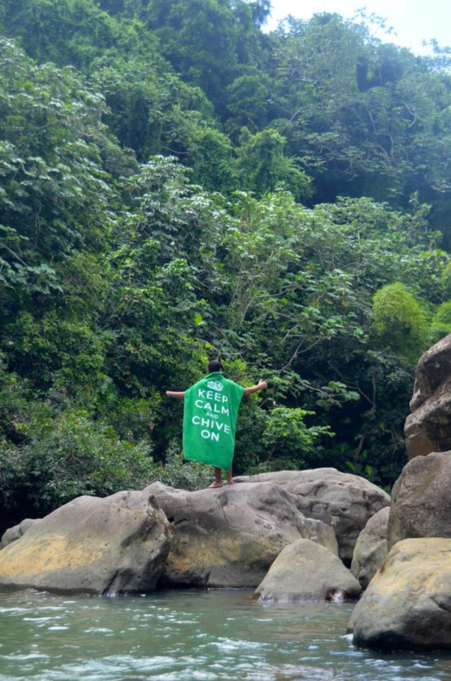 Chive Everywhere (60 HQ Photos)