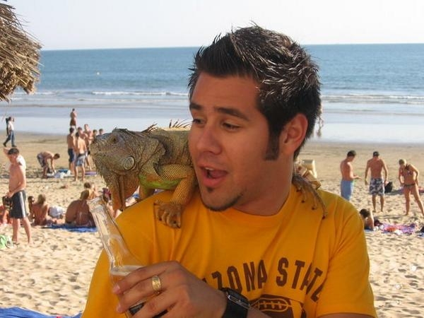 Keep Calm and Chive On! (33 Photos)