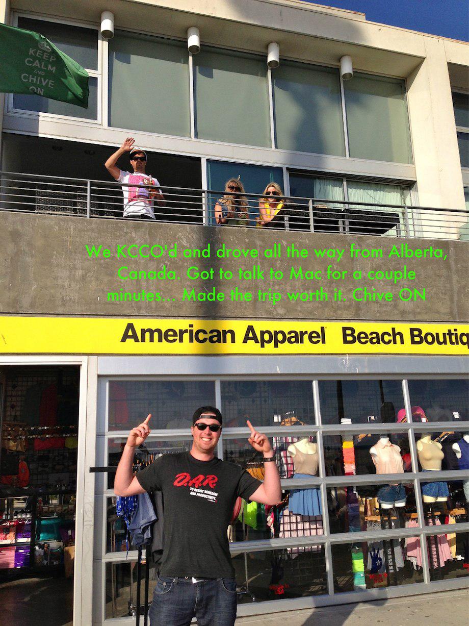 Chive Everywhere (63 HQ Photos)