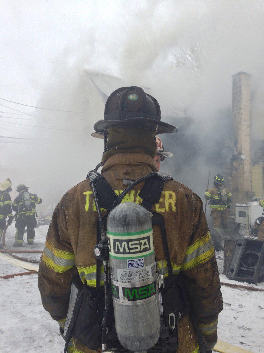 Chive Everywhere (68 HQ Photos)