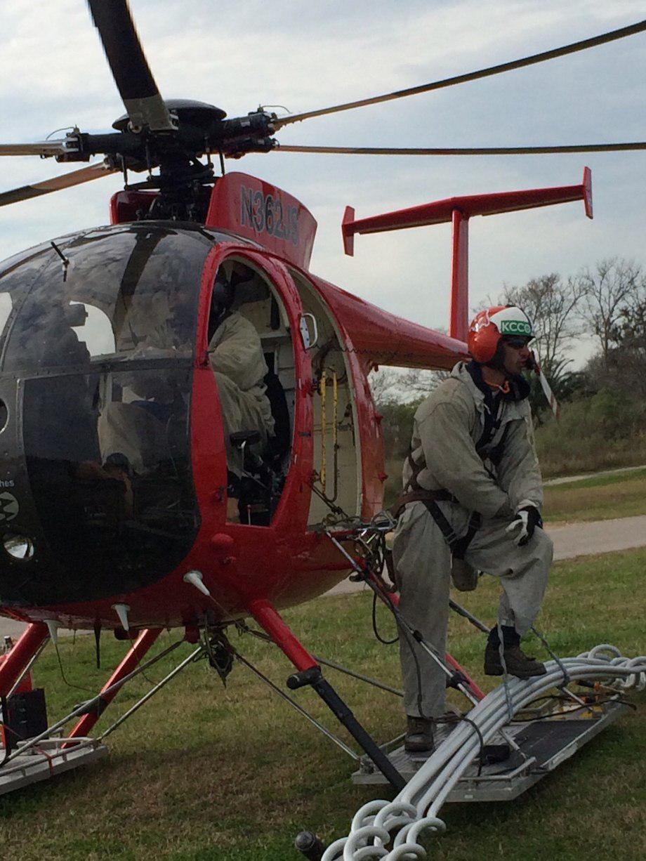 Chive Everywhere (68 HQ Photos)