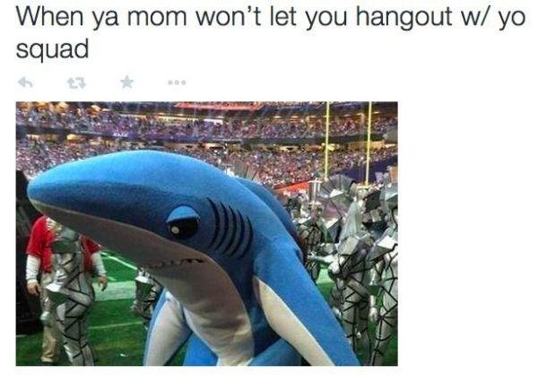 Left shark has taken over the internet (25 Photos)