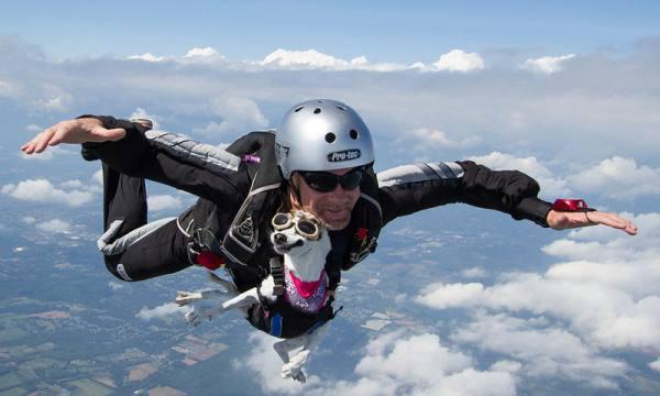 Either you win at skydiving or you look hilarious trying (22 Photos)
