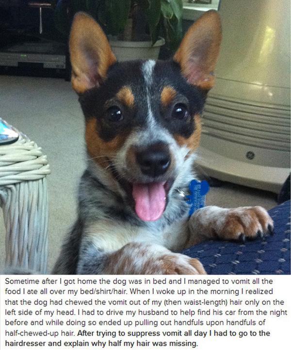 Worst Hangover Ever